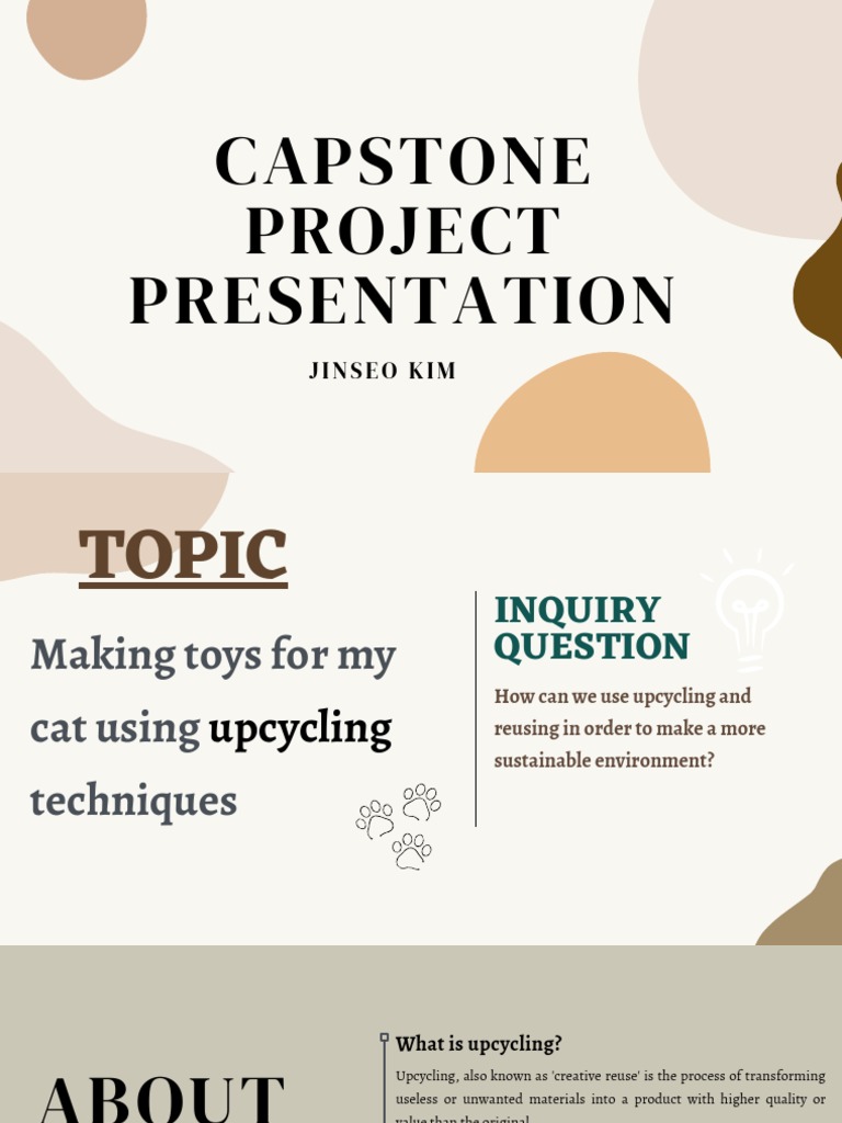 Capstone Project 2-Compressed | PDF | Toys
