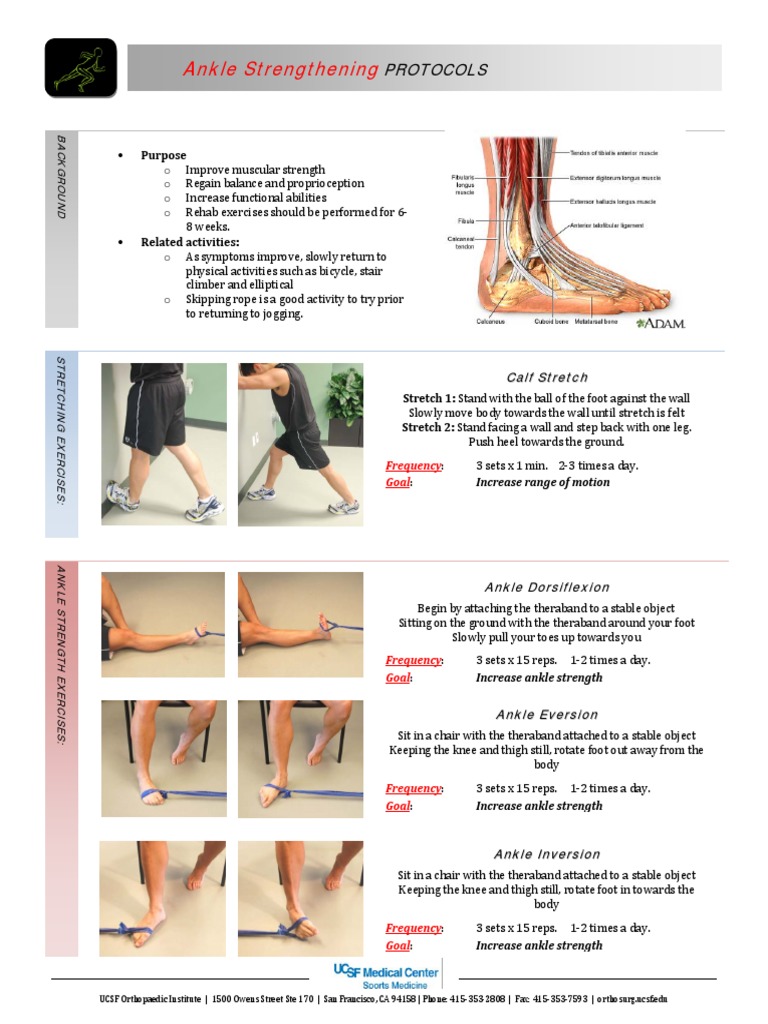 Ankle Strengthening Protocol | PDF | Ankle | Anatomical Terms Of Motion