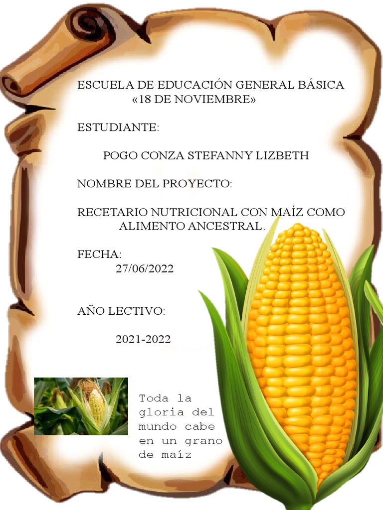 Proyecto Final Nro. 14 2 | Descargar gratis PDF | Maíz | Alimentos