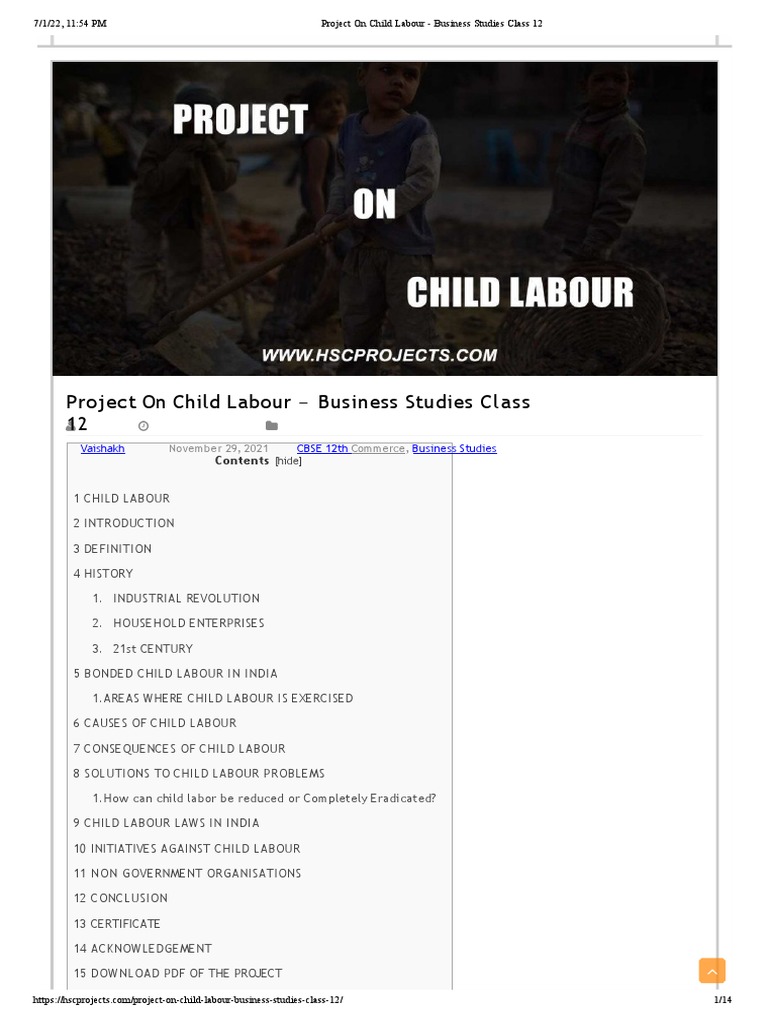 Project On Child Labour - Business Studies Class 12 | PDF | Child ...