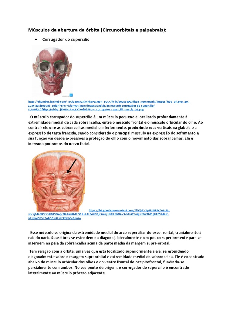 Músculos da região periorbitária e expressão facial | PDF | Olho humano ...