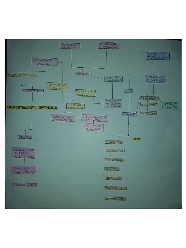 Mapa Conceptual 7 Procedimientos Ordinarios | PDF