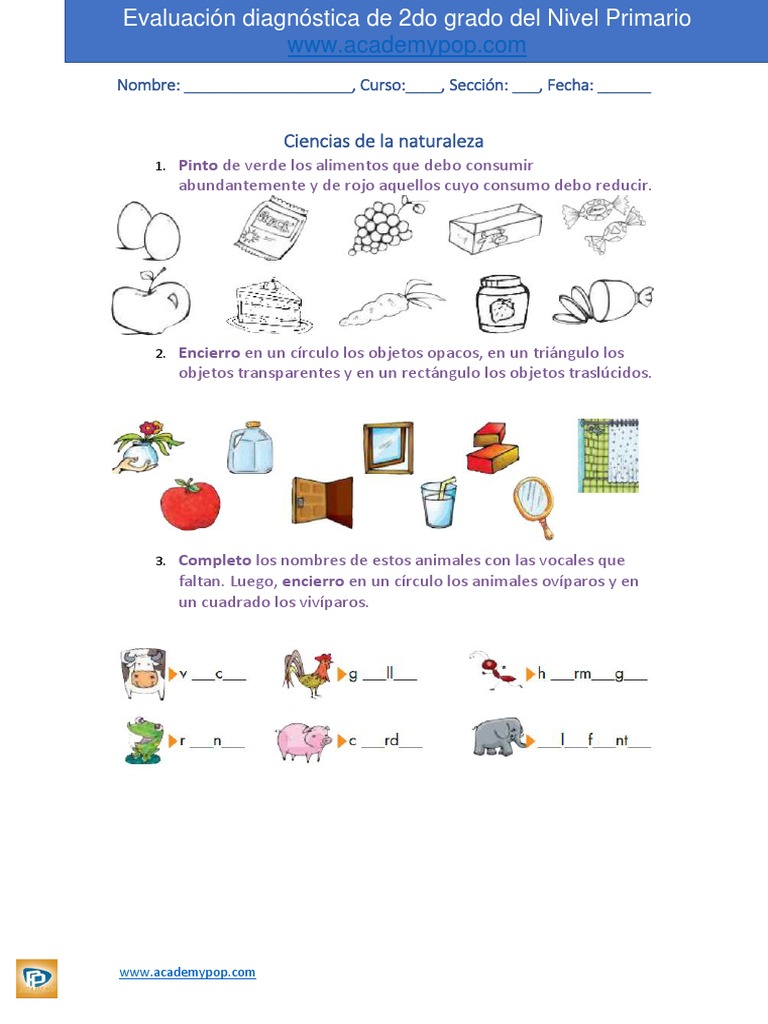 Evaluacion Diagnostica de 2do Primaria Nat | PDF
