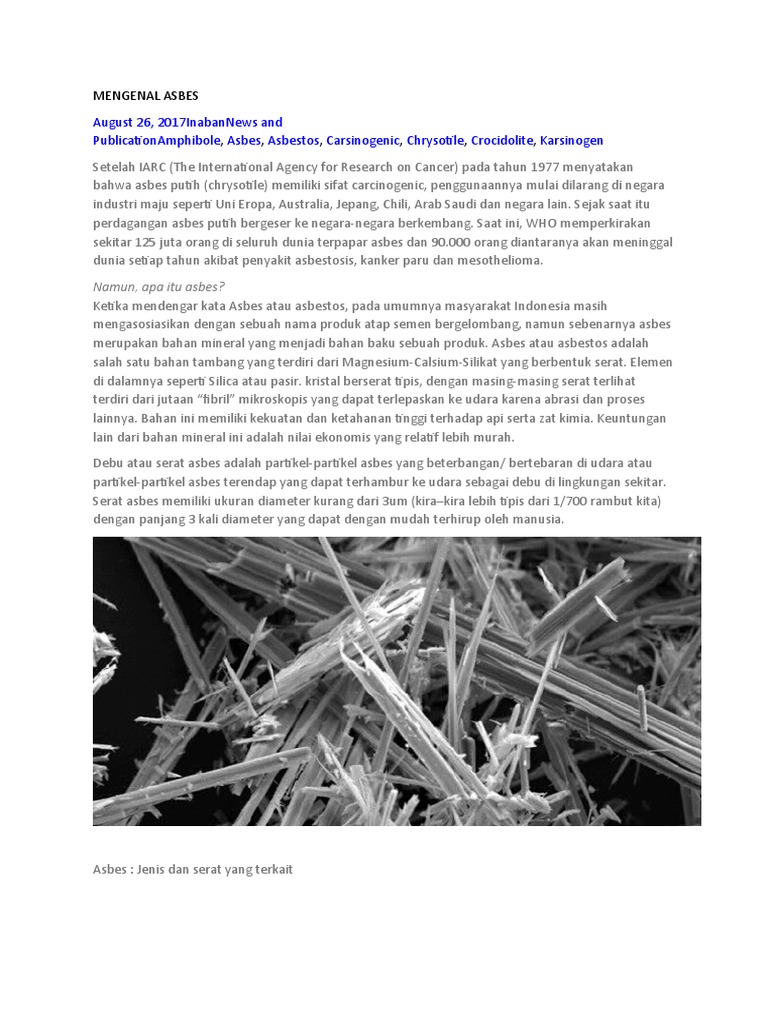 Mengenal Asbes | PDF | Griya & Taman | Kesehatan Holistik