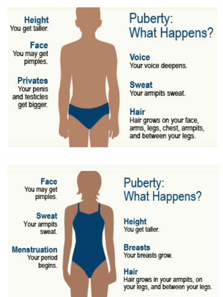 poster pubertas | PDF