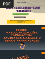 4 Fosas Nasales & Senos Paranasales | PDF | Nariz humana | Anatomía