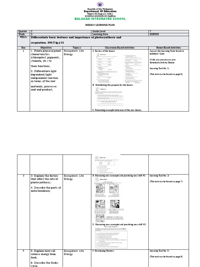 WLP Q1 W5 G7-Science | PDF | Photosynthesis | Ecosystem