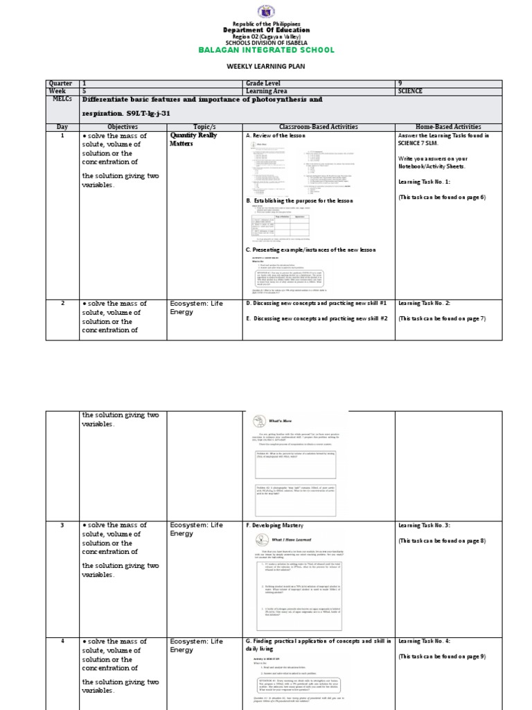 WLP Q1 W5 G9-Science | PDF