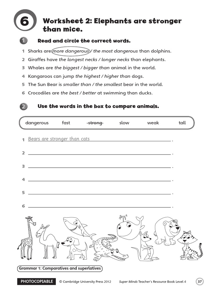 Unit 6 Worksheet 2 and 3 | PDF