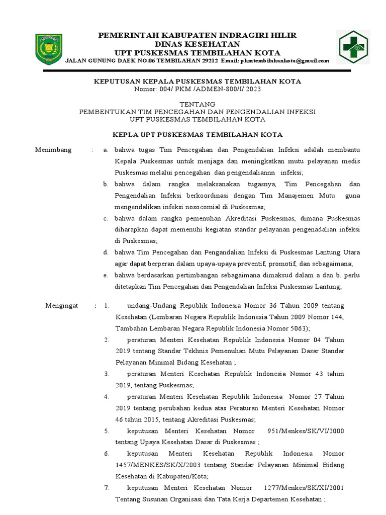 SK Tim PPI 2023 | PDF | Pengembangan Diri | Kesehatan Holistik