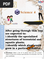 Plants and Animals in Their Habitat (GRADE 4) Lesson Plan | PDF ...