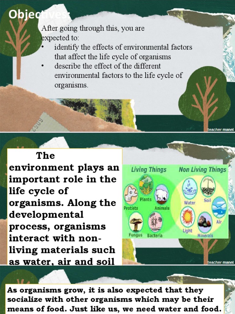 Science 4, Quarter 2 Week 6 | PDF | Ecosystem | Natural Environment