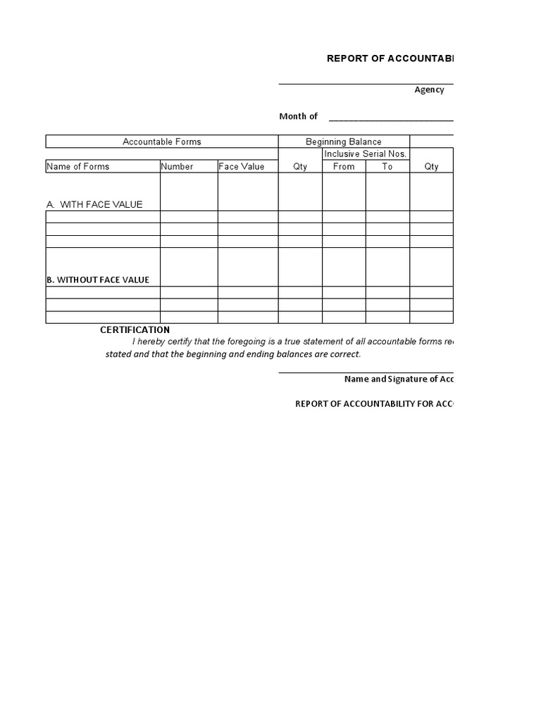 Report of Accountability | PDF