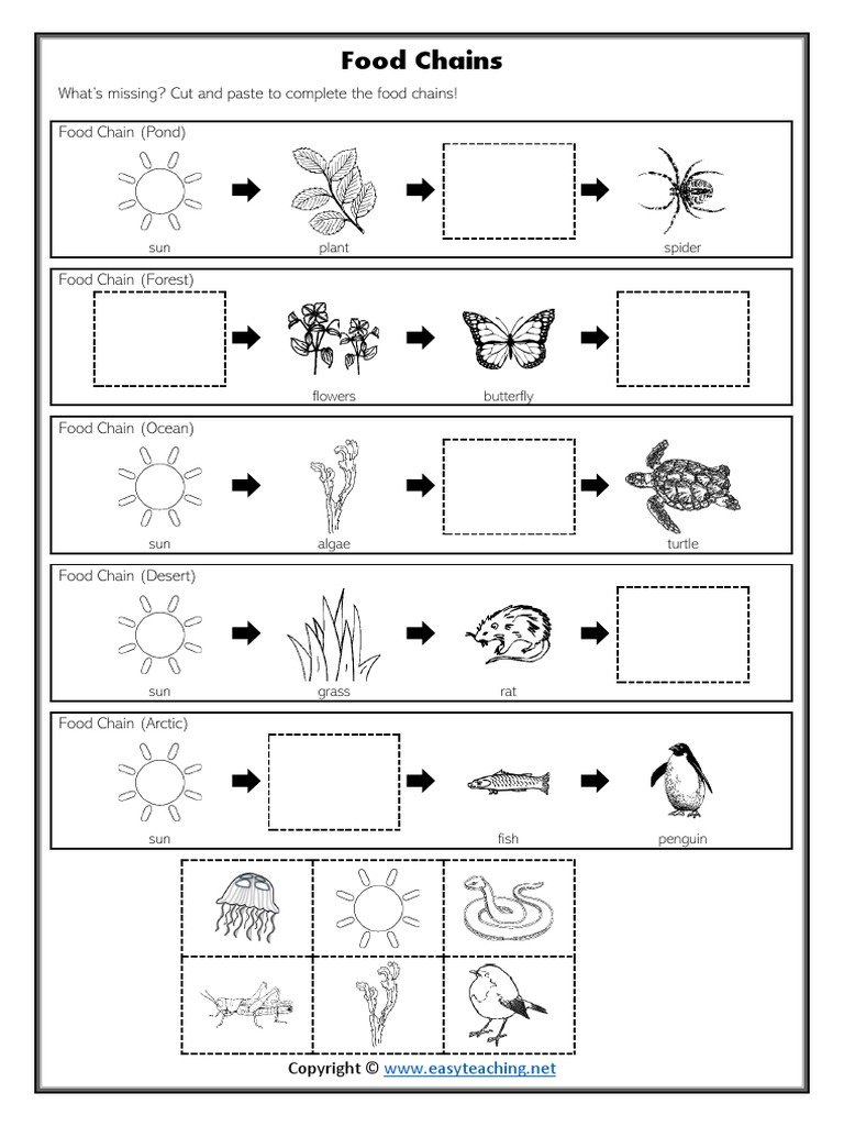 Food Chains: What's Missing? Cut and Paste To Complete The Food Chains ...