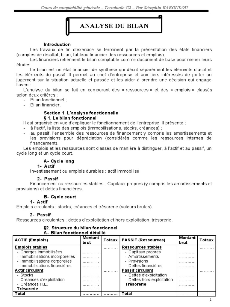 Analyse du Bilan Comptable en G2 | PDF | Ratio financier | Bilan comptable