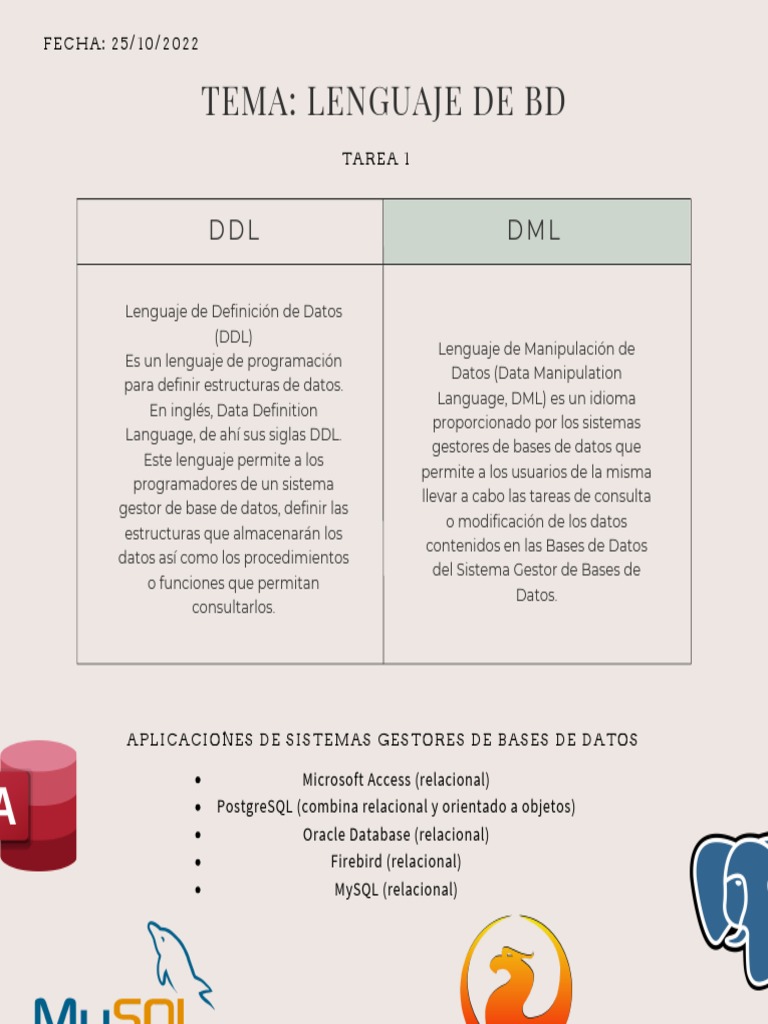 DDL Vs DML + SGBD | PDF