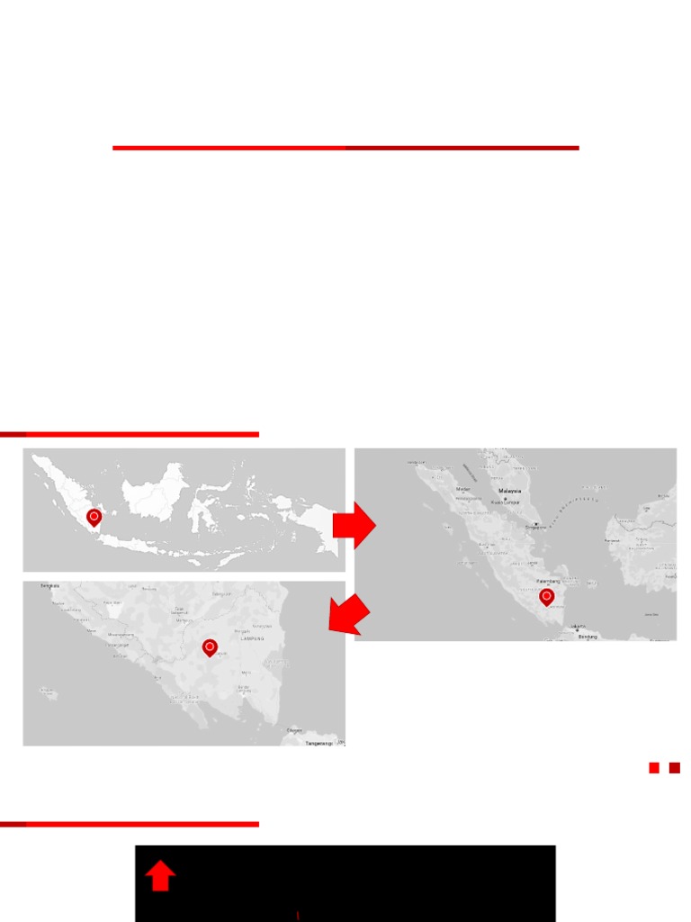 Survey Jembatan Gantung Pubian Lampung | PDF