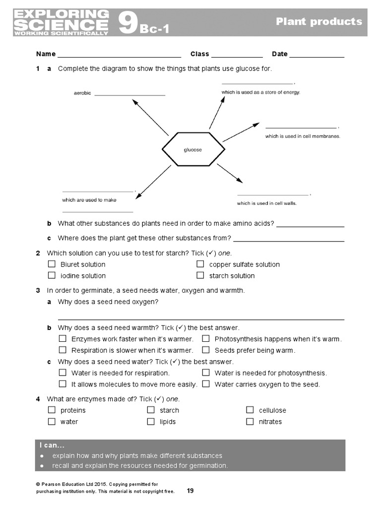 9Bc-1 (Worksheet 1) | PDF