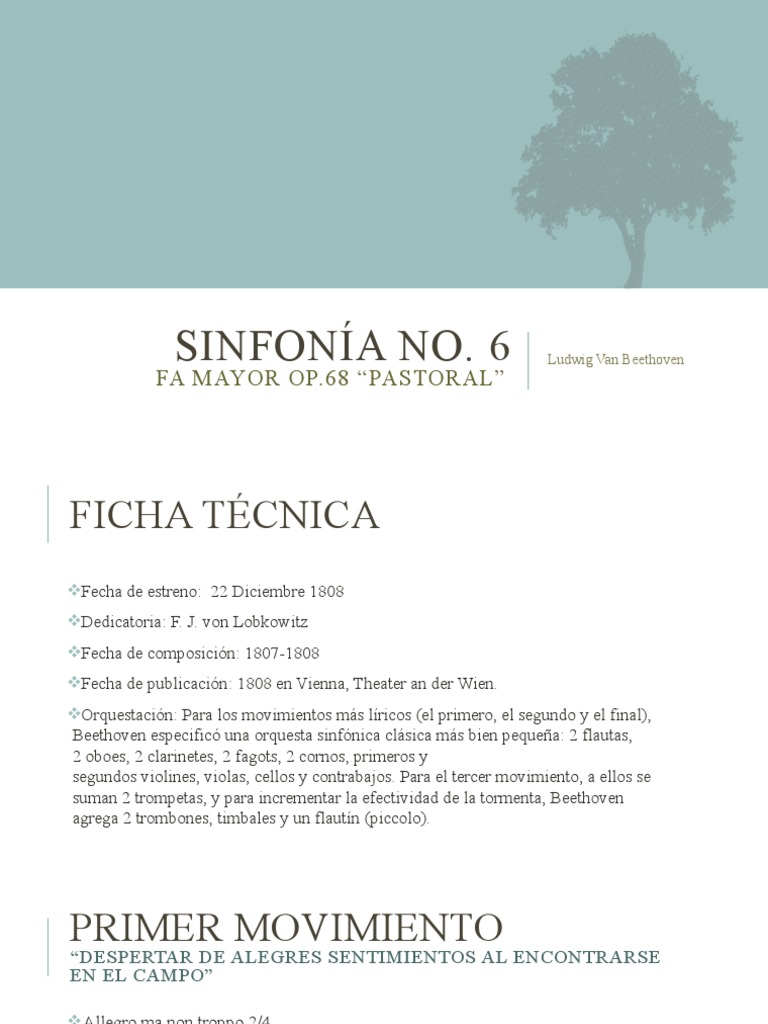 Sinfonía 6 Beethoven | PDF | Sinfonía | Ludwig Van Beethoven