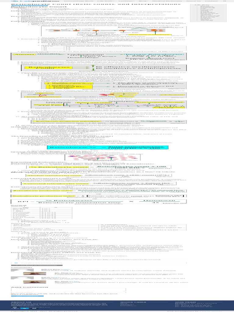 Reticulocyte Count Retic Count And Interpretations Pdf