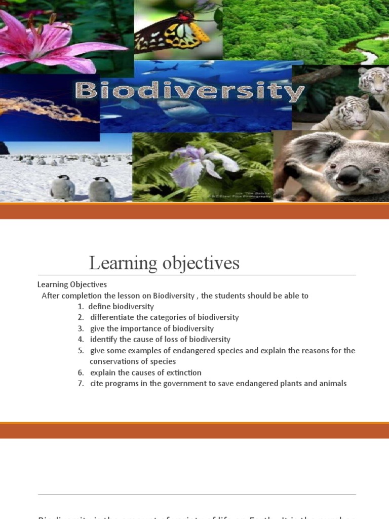 Biodivesrity | PDF | Biodiversity | Ecosystem