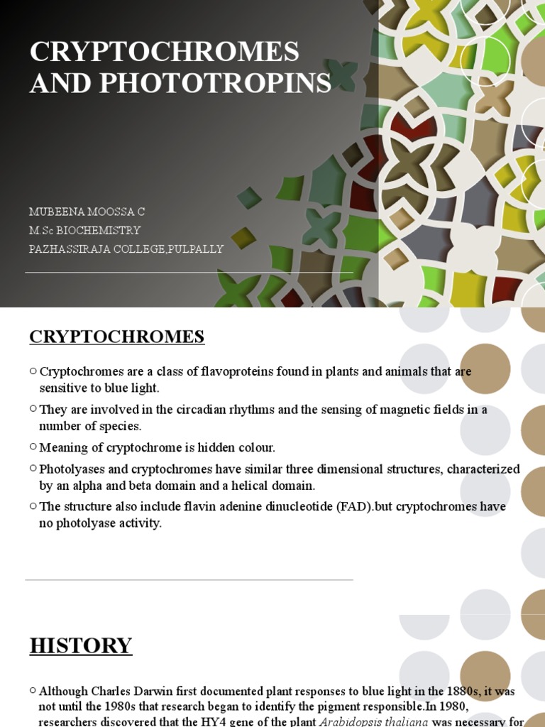 Cryptochromes | PDF | Cell Biology | Biochemistry