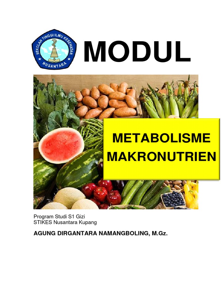 Modul Makronutrien - Part 7 (Lanjutan Metabolisme Protein) | PDF