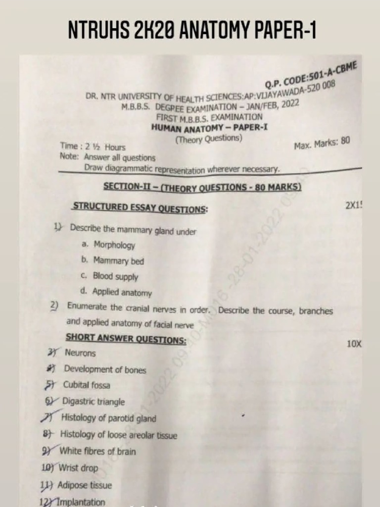NTRUHS 2k20 Batch Final Papers | PDF | Epithelium | Common Carotid Artery