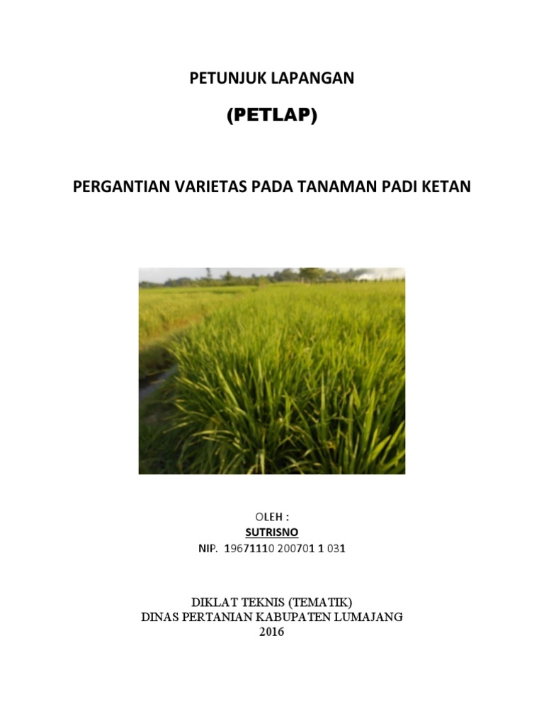 Petlap Ketan | PDF | Griya & Taman