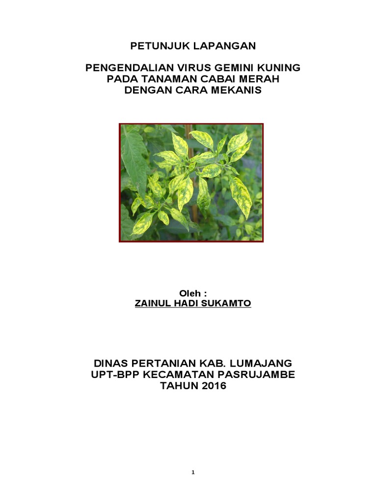 Petlap Pengendalian Virus Gemini Kuning Cabe Dengan Mekanik | PDF