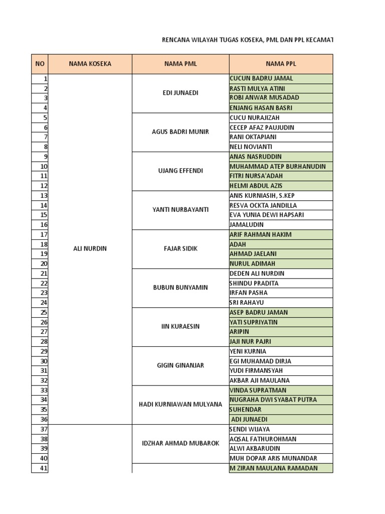 Revisi Rencana Tugas PPL, PML | PDF