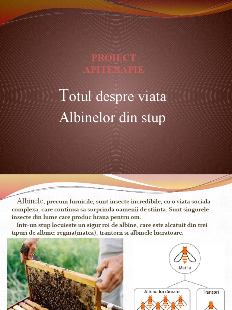 Viata Albinelor in Stup c1 Sau c2 | PDF