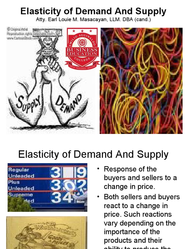 3 Elasticity of Demand and Supply | PDF