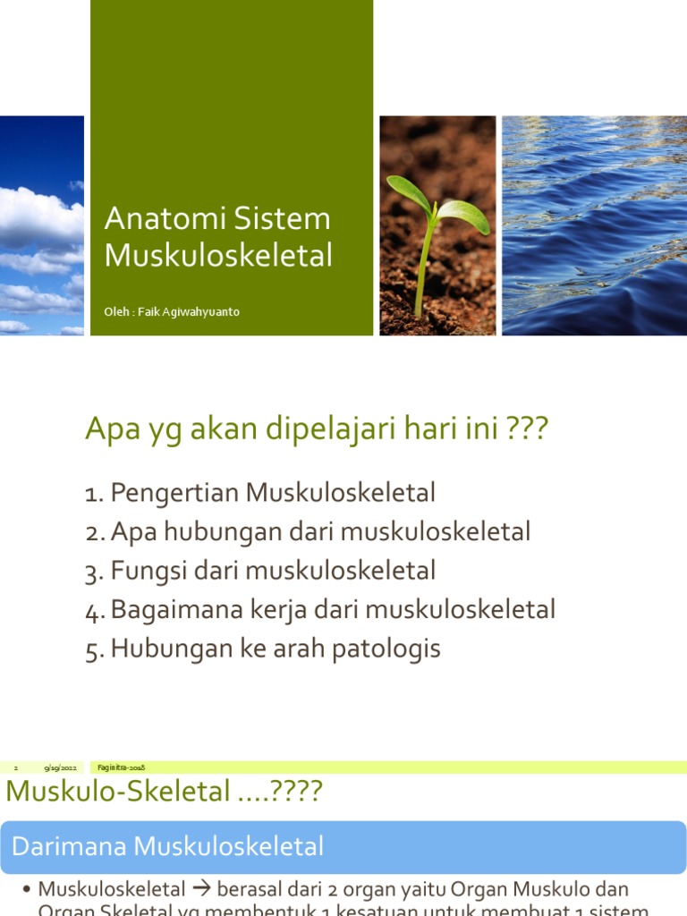 Anatomi Sistem Muskuloskeletal | PDF
