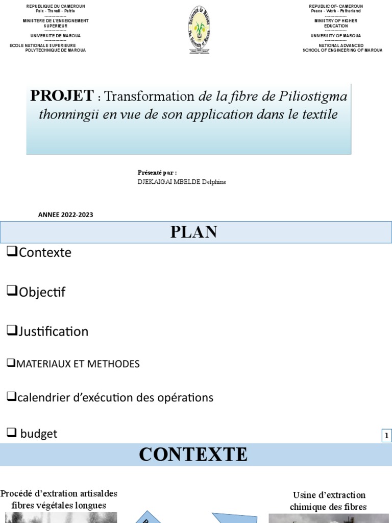PROJET de Veloppement | PDF | Biens manufacturés | Matériaux