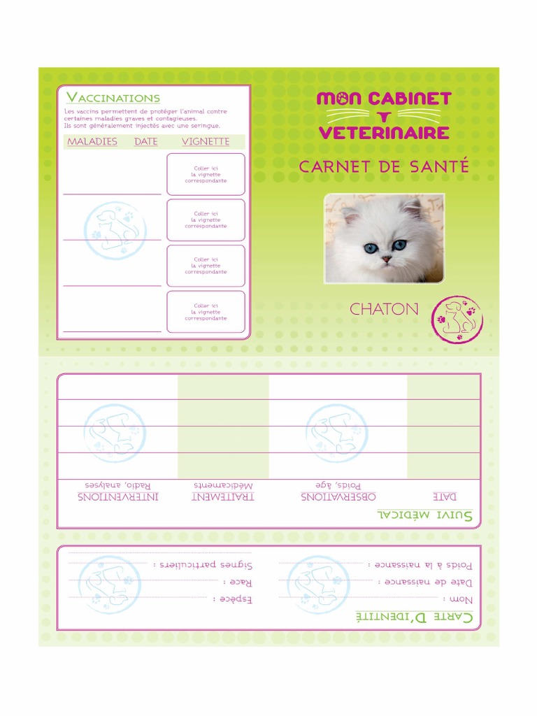 Carnet de Sante Chaton | PDF
