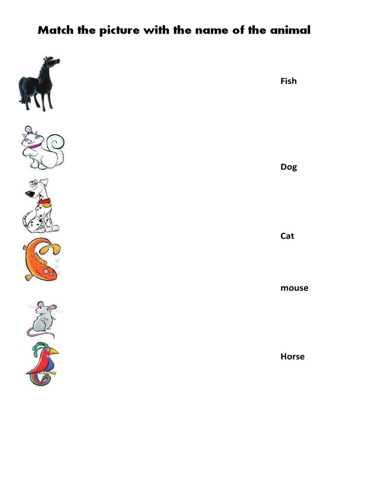Pets Worksheet 3 | PDF