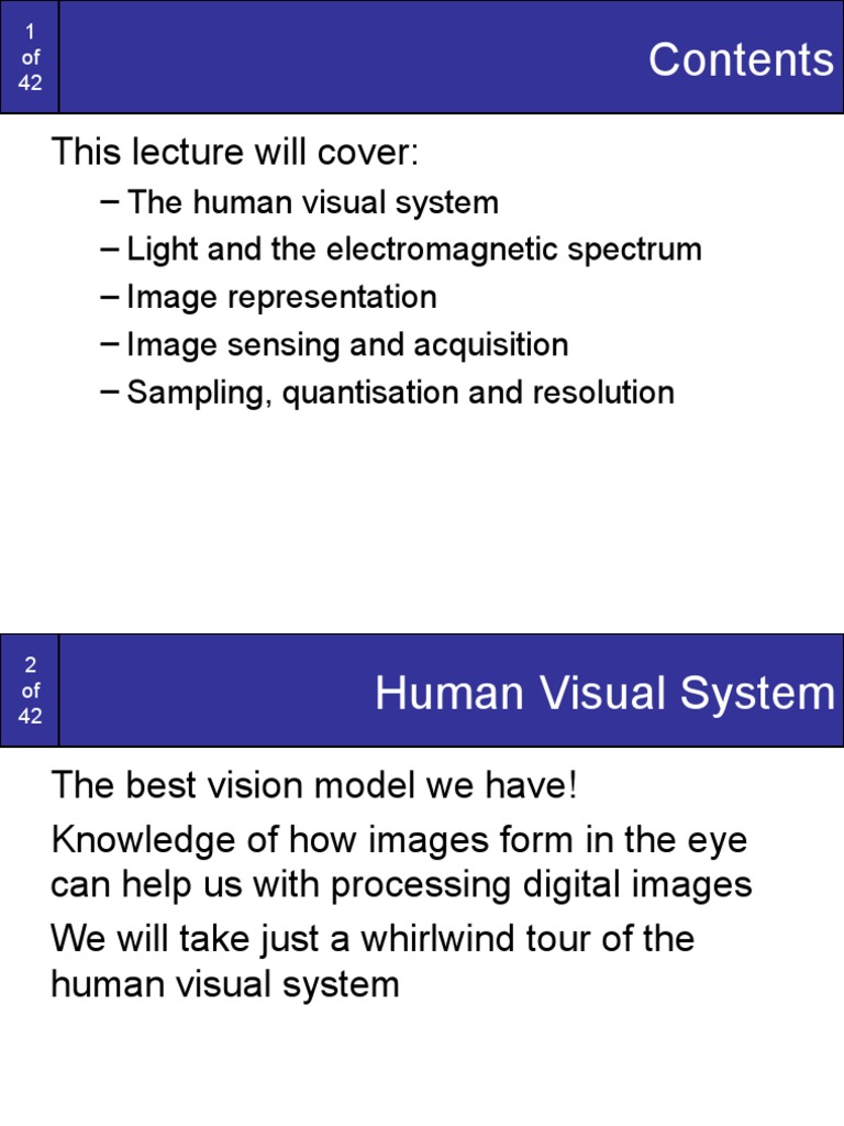 Human Visual System & Image Formation | PDF | Image Resolution | Retina