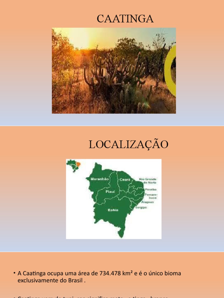CAATINGA | PDF | Turismo