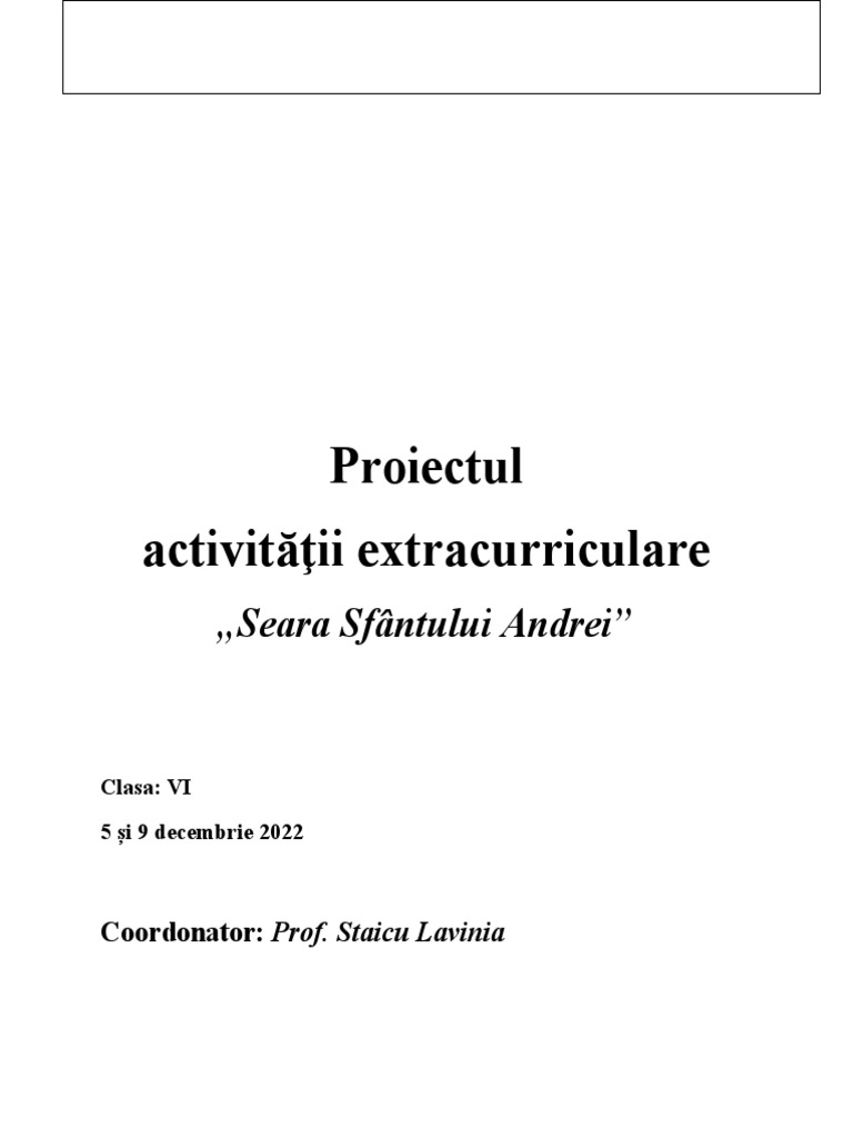 Proiectul Si Raport SF Andrei | PDF