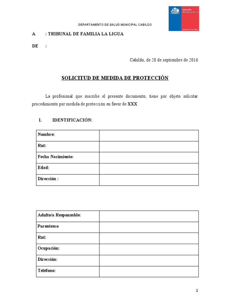 Formato Medida de Protección | PDF