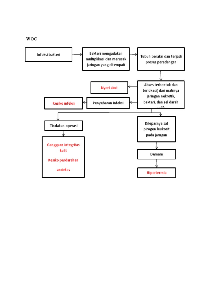 Woc Abses Perianal | PDF
