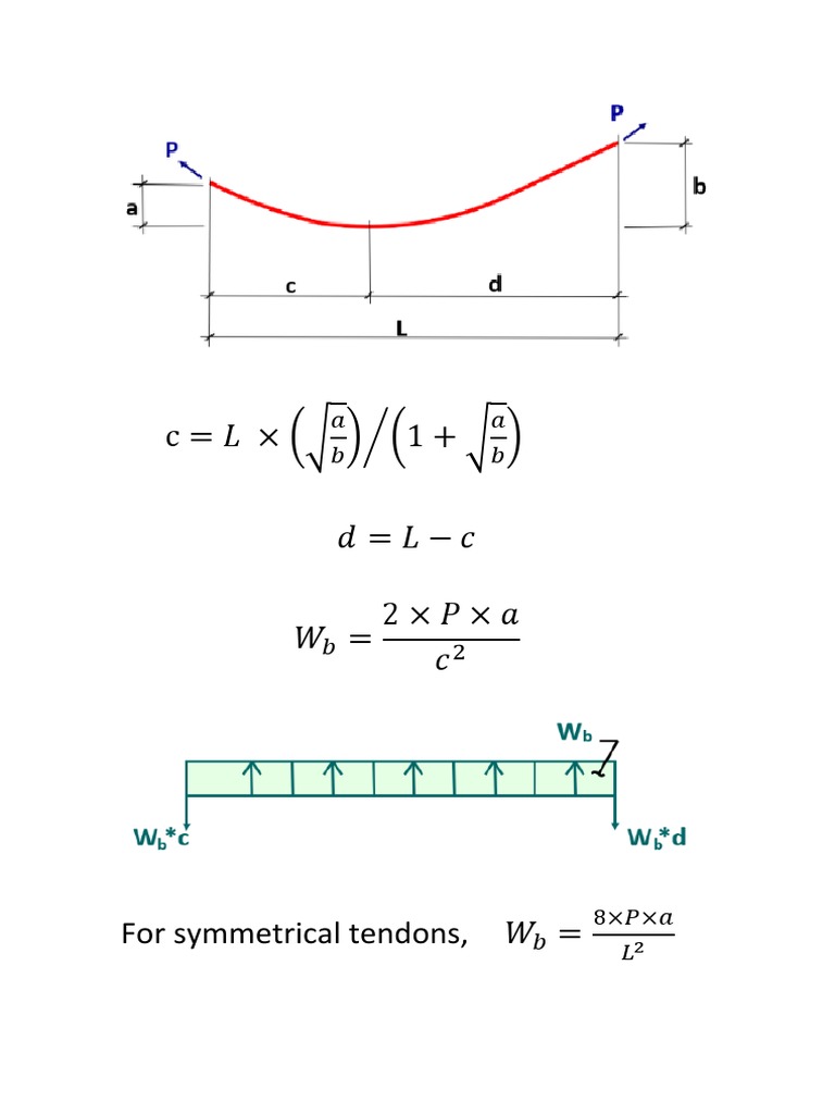 Force Diagram of A Simple Parabolic Tendon | PDF