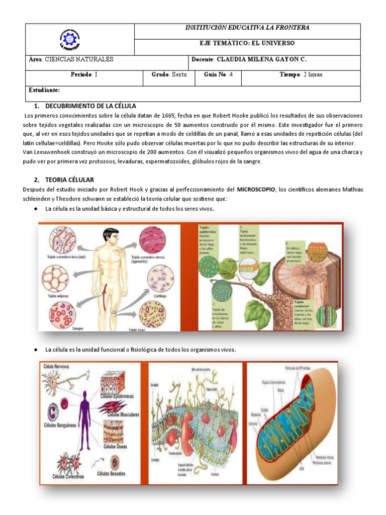 La Celula Pdf Biología Celular Organismos
