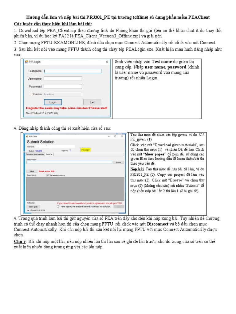 PAE - 1 - HD (PRJ301) | PDF