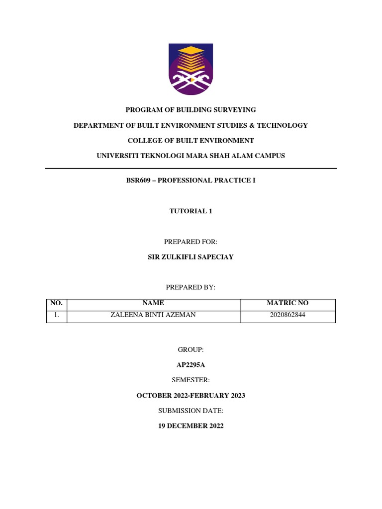 BSR609 Professional Practice I | PDF