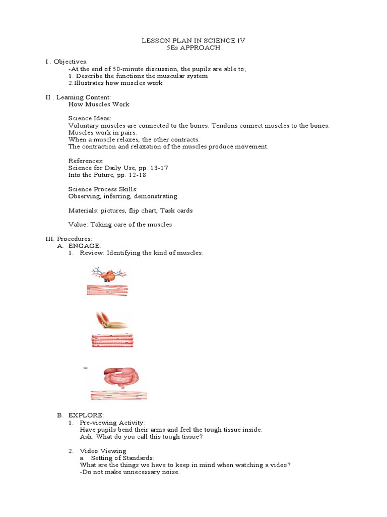 Lesson Plan in Science Iv | PDF | Skeletal Muscle | Muscle Contraction