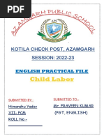Class 12 Als Project | PDF