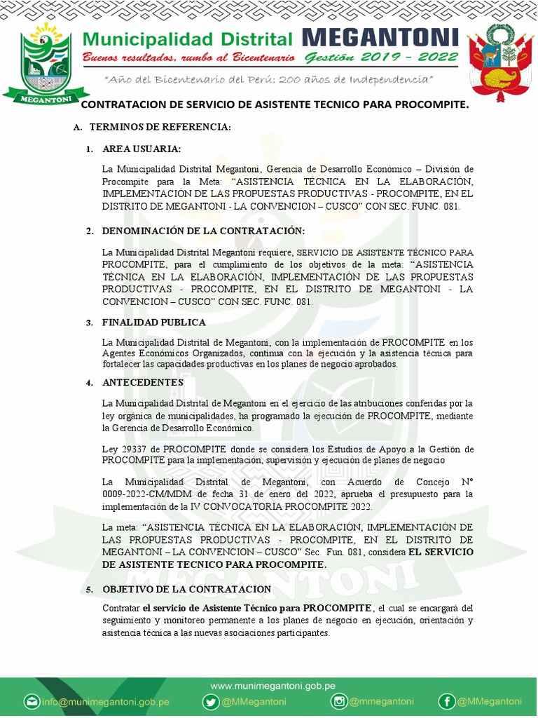 TDR Asistente Tecnico | PDF