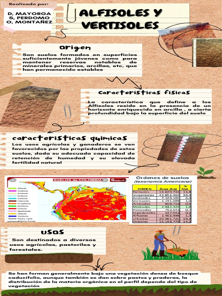 Alfisoles y Vertisoles | Descargar gratis PDF | Suelo | Geografía Física